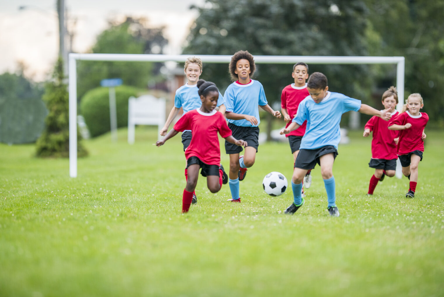 Chasing the Ball - A Humble Ambition: a captivating blog dedicated to ...